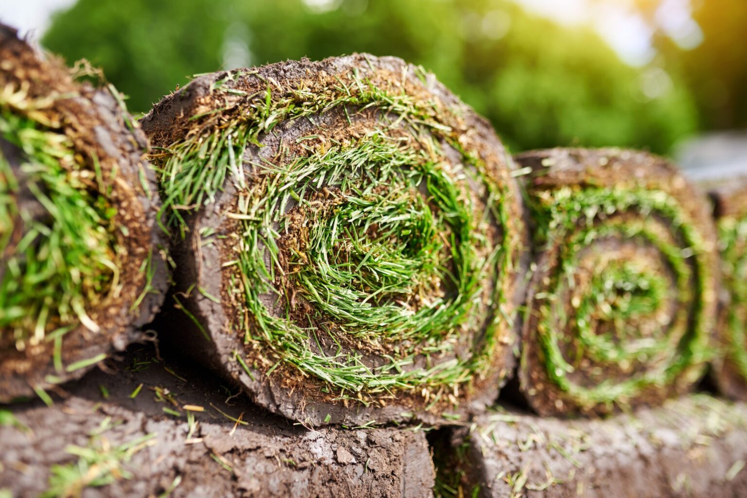 Fairgreen Sod Farms | Premium Sod in Toronto, Markham & GTA