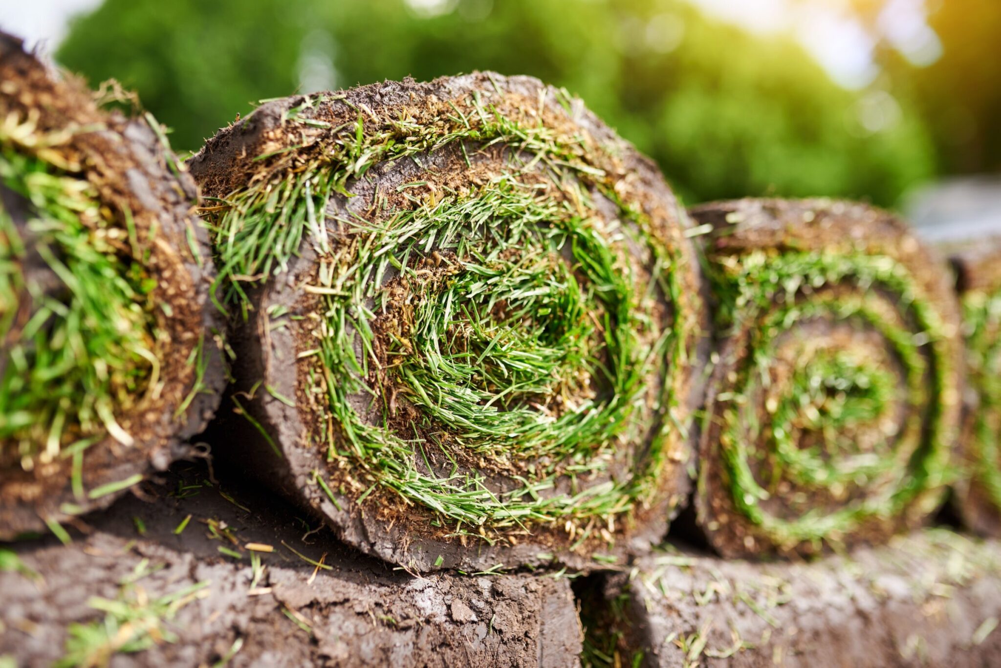 Fairgreen Sod Farms | Premium Sod in Toronto, Markham & GTA