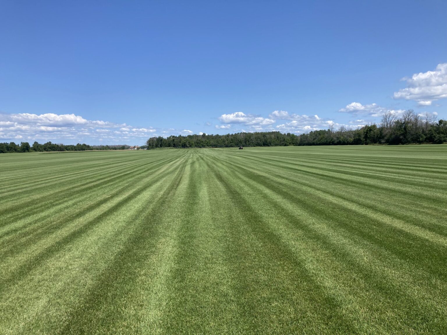 Fairgreen Sod Farms | Premium Sod in Toronto, Markham & GTA