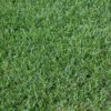 Fairgreen Sod Farms | Premium Sod in Toronto, Markham & GTA